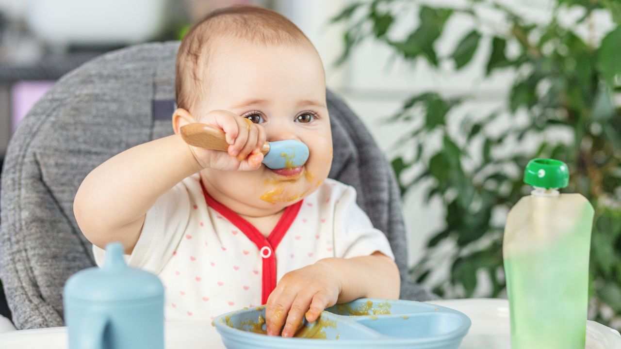 My family called me 'cruel' for raising my baby vegetarian. Now I'm ...