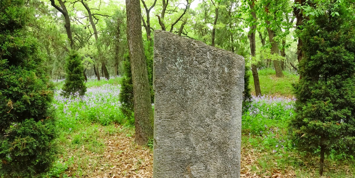 A student saw one lonely rock. He suspected a mystery—and uncovered a ...