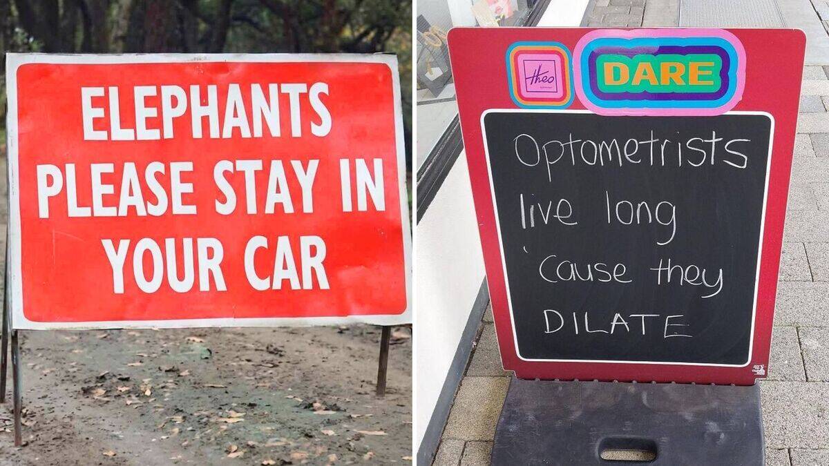 10 public signs that caught us off guard with their humor