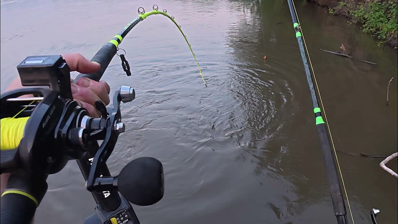 Catching catfish with the best rig