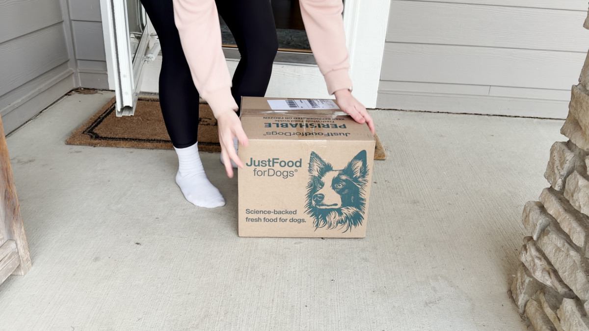 JustFoodforDogs review: What happened when my two mini schnauzers tried ...