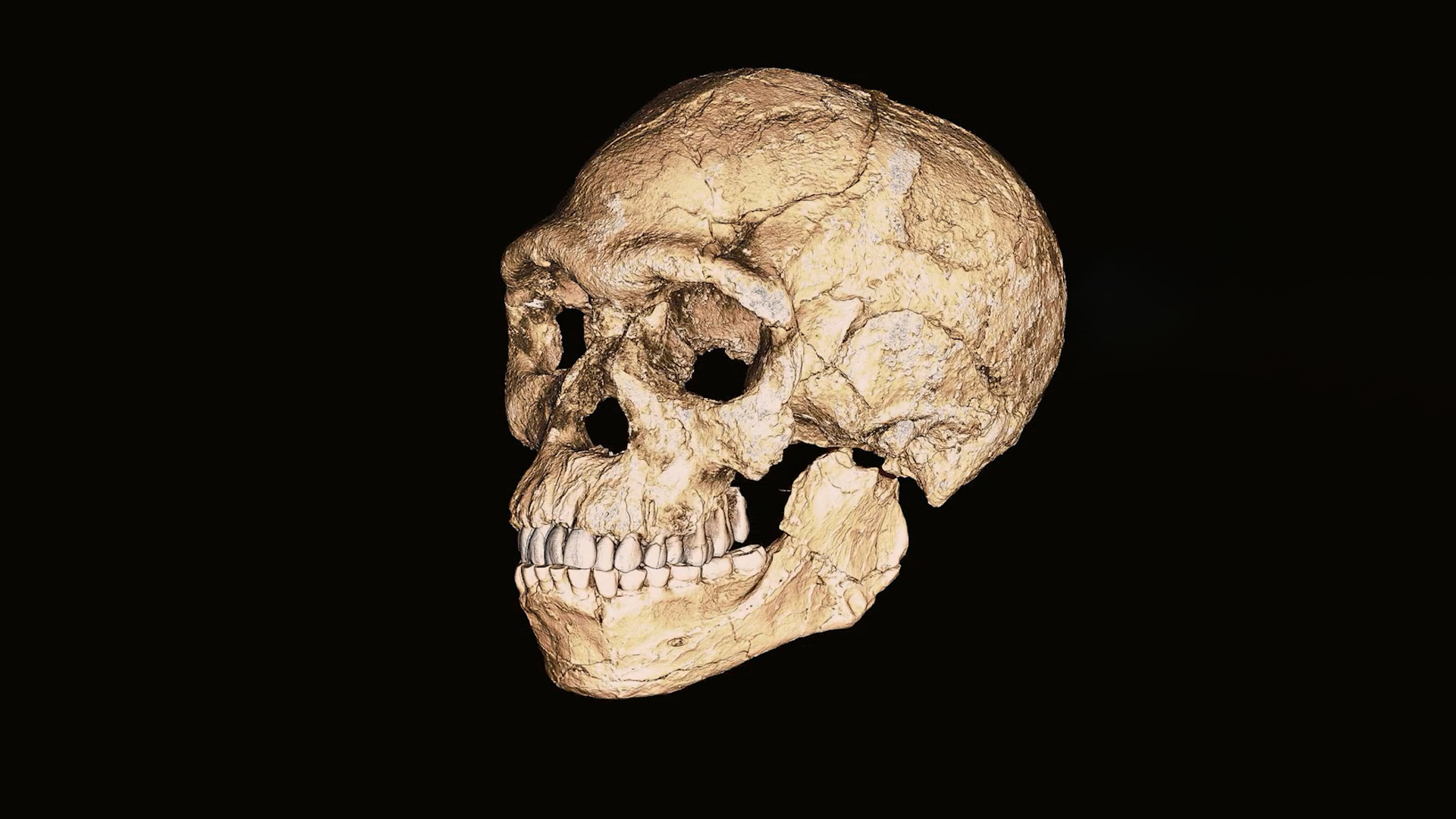 315,000-year-old Homo sapiens fossils found in Morocco