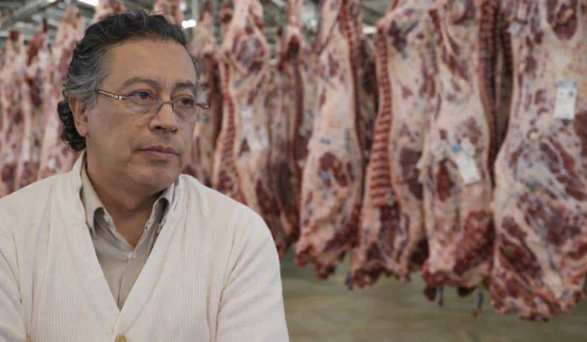 Gobierno Petro no podría impedir la exportación de carne de manera ...