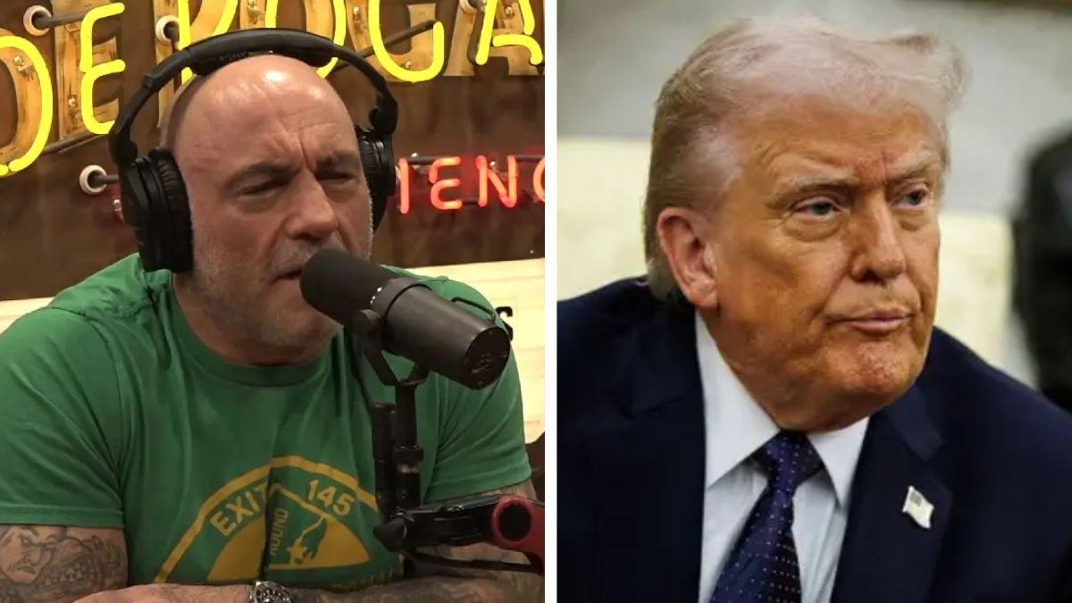 Joe Rogan declares he's 'politically homeless' as podcaster turns on ...