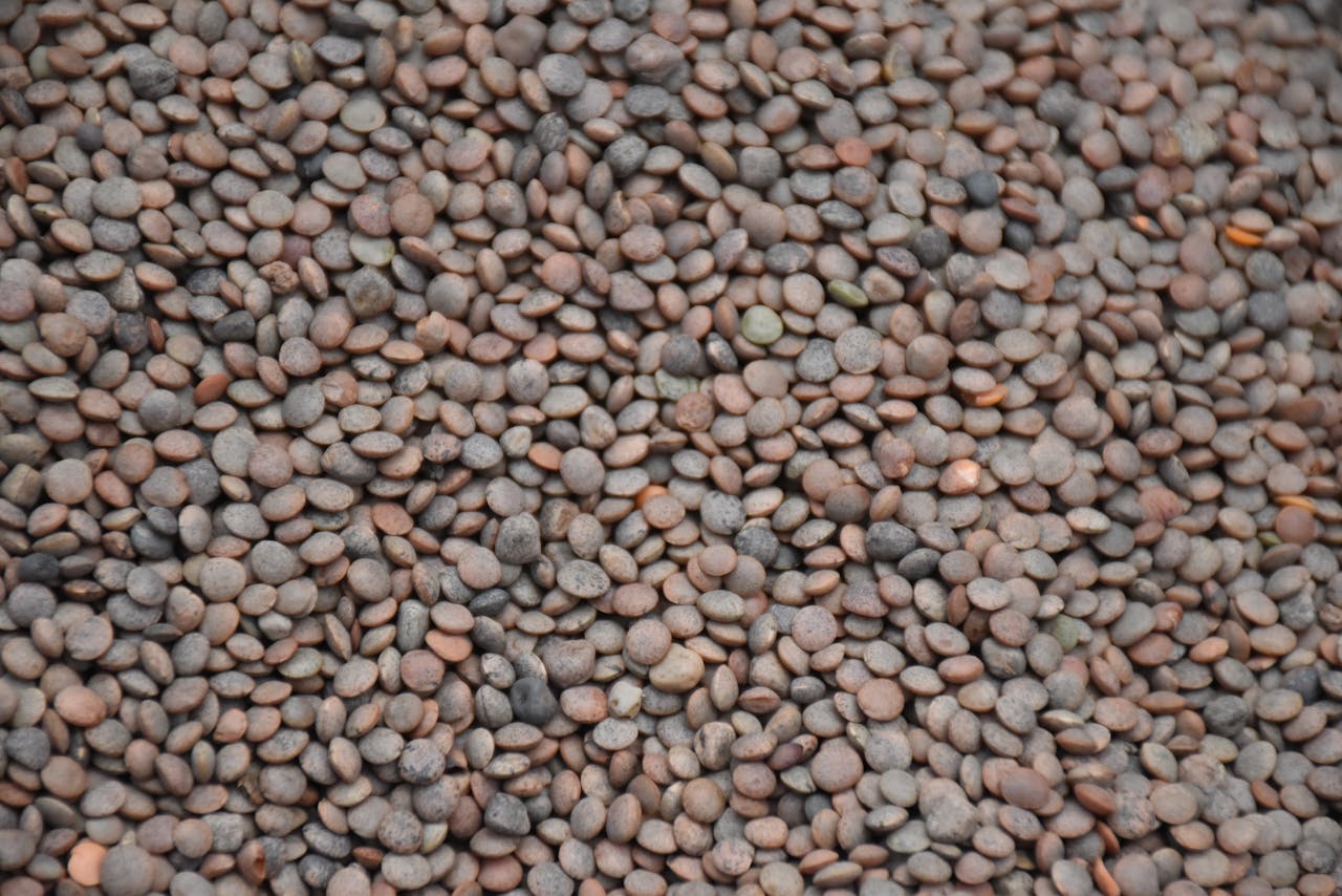 15 iron-rich foods vegetarians should be eating regularly