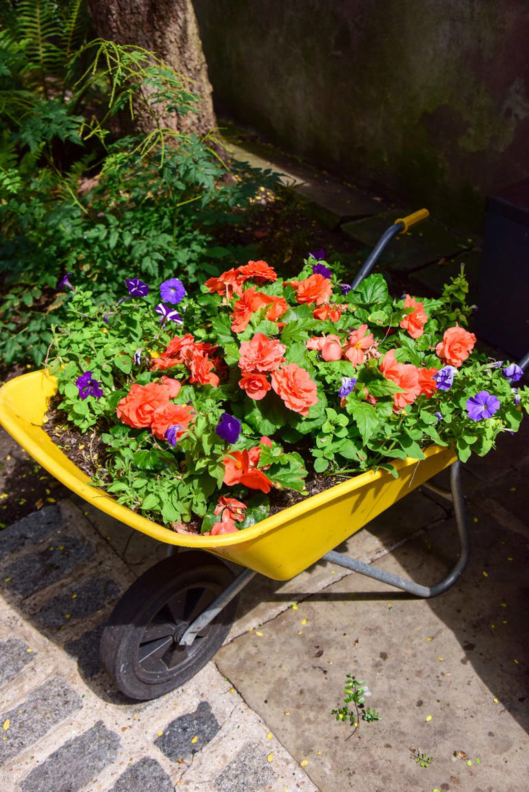 18 charming small garden ideas that are big on personality