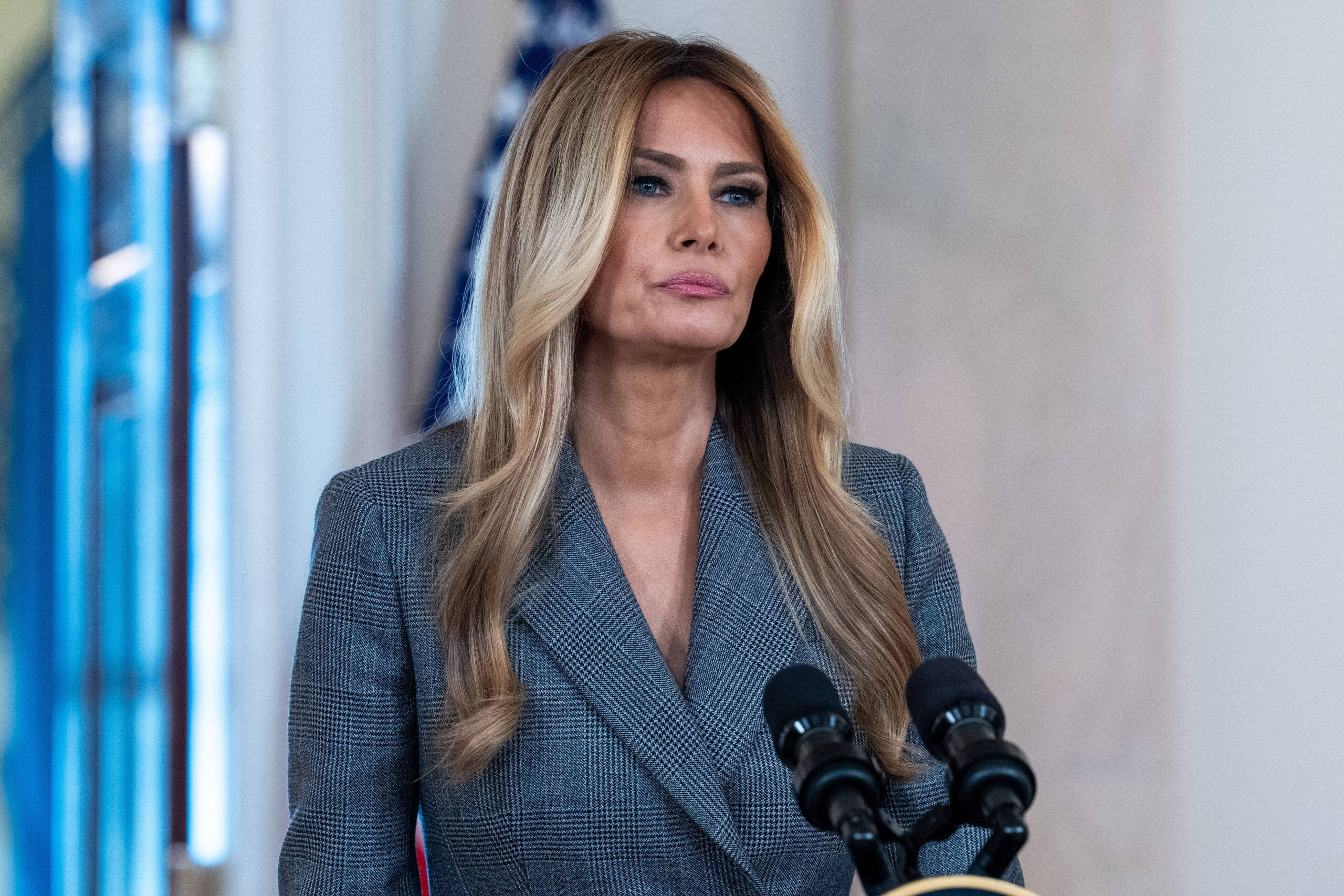 Melania Trump blasts 'lies' about her and Jeffrey Epstein