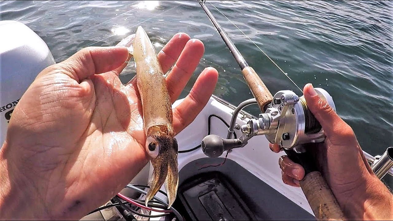 Big surprises when using a squid as bait!