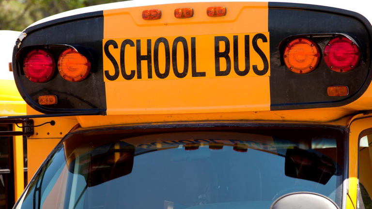 Students injured after school bus crashes into tree in central Minnesota