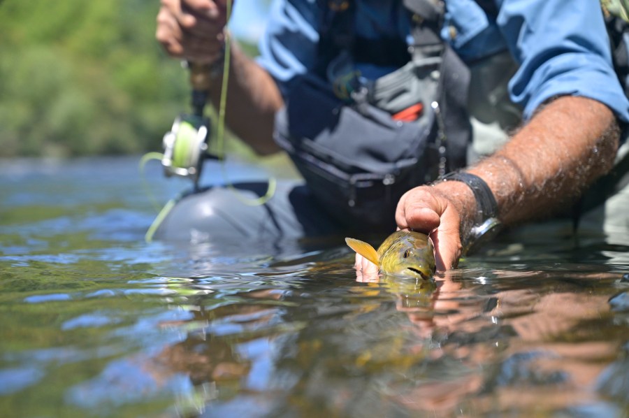 West Virginia fish stocking schedule for April 9