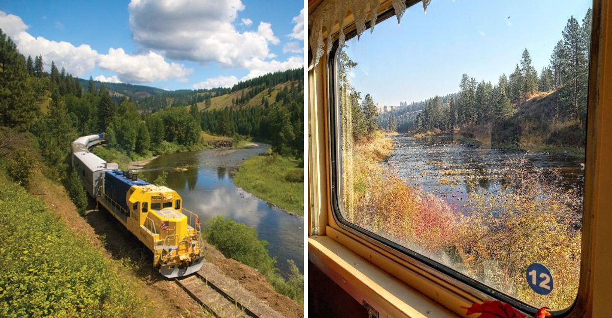 One of America’s most peaceful train rides can be found hidden in Oregon