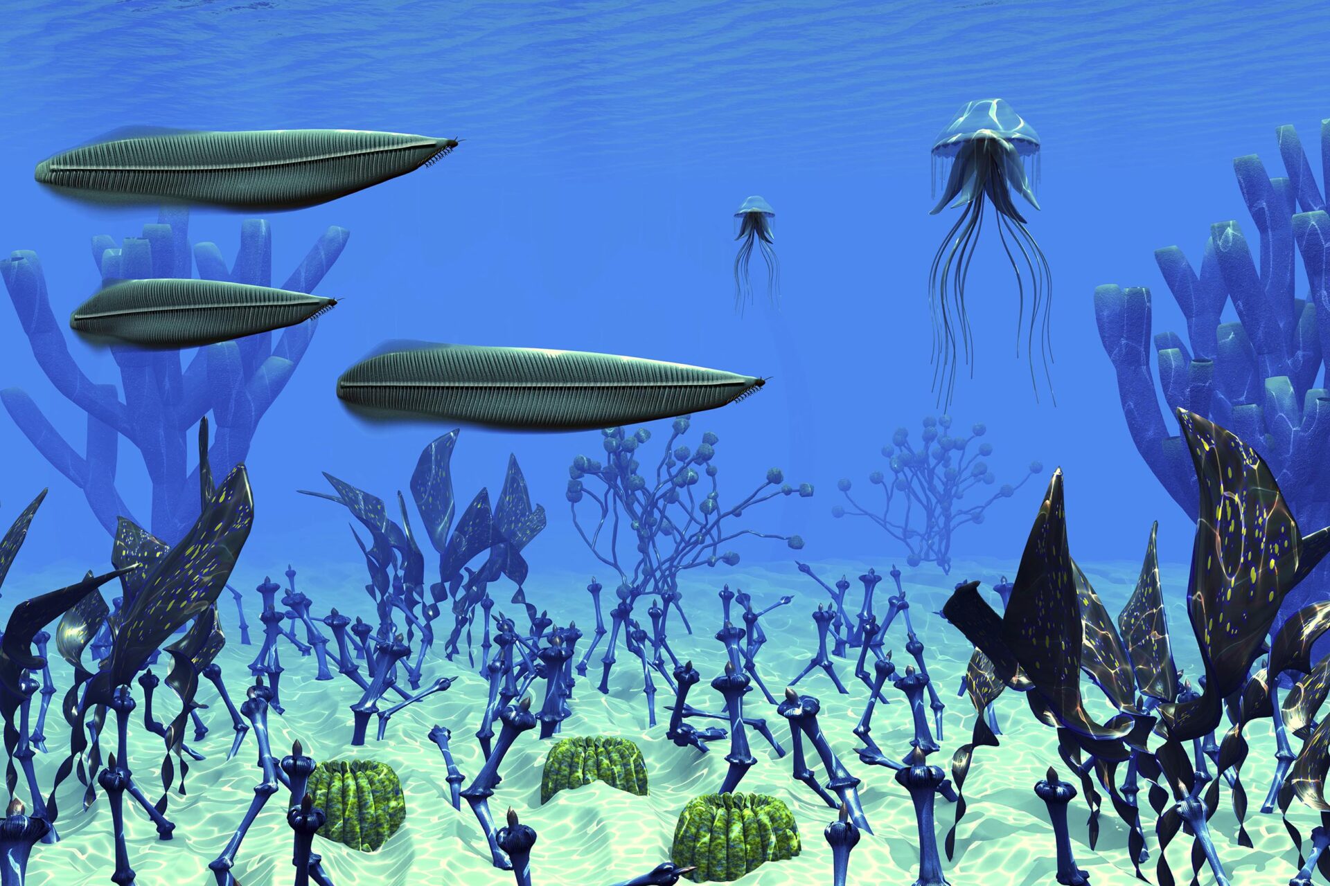 These animals can essentially live forever