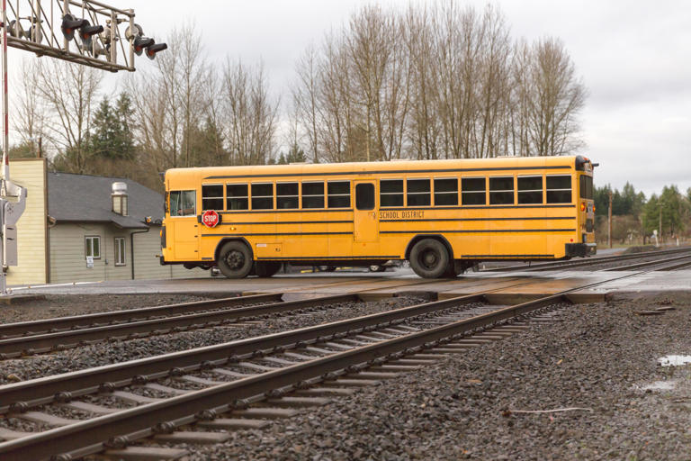 Florida bus driver arrested after train hits bus with 29 children