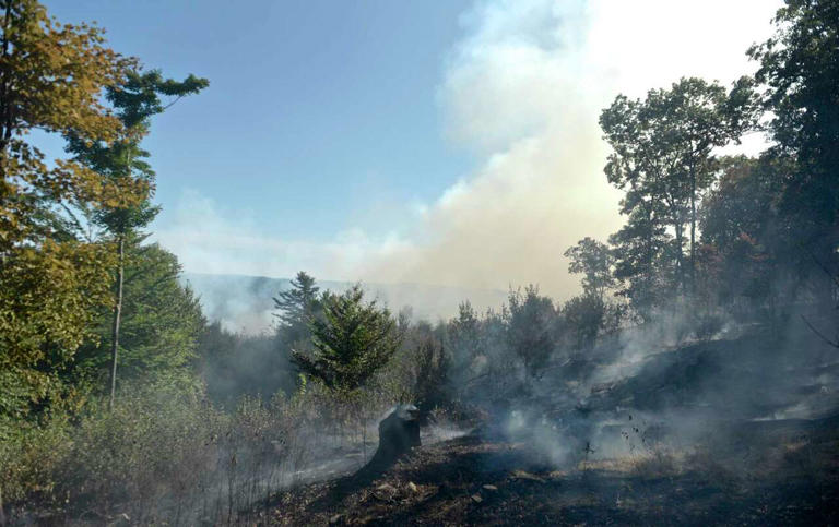 Much of Connecticut under high forest fire risk on Father's Day 2026 ...
