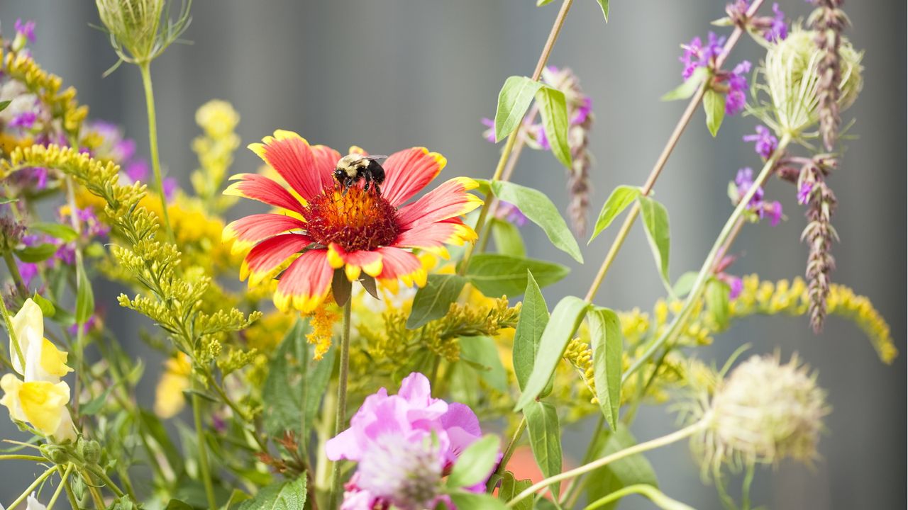 These 4 vertical gardening tricks can transform tiny urban spaces into ...