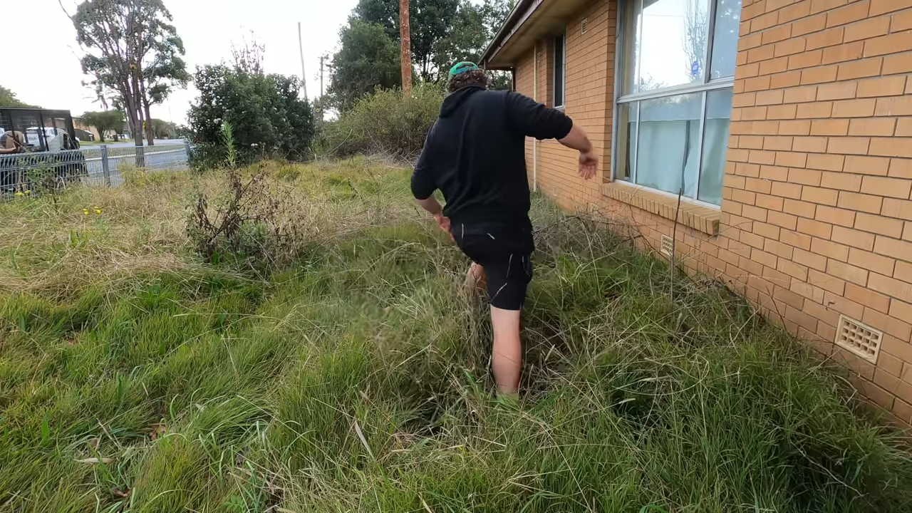 Voluntary yard cleanup transforms years of neglect into a stunning property