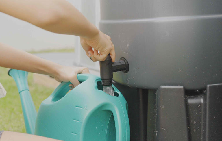 How to use a rain barrel to save water (and money) in your garden
