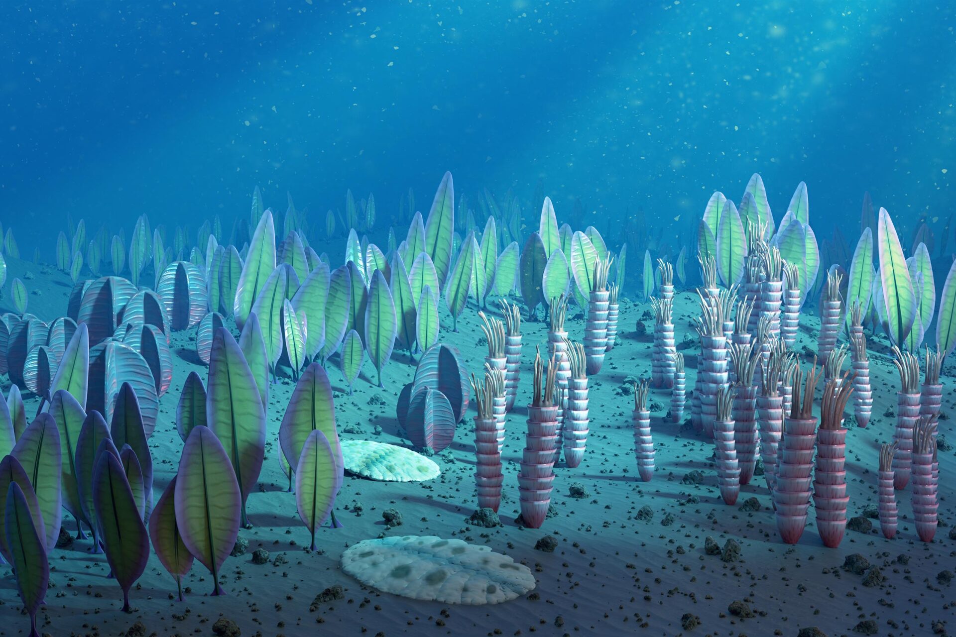 The origin of complex life is much older than previously thought