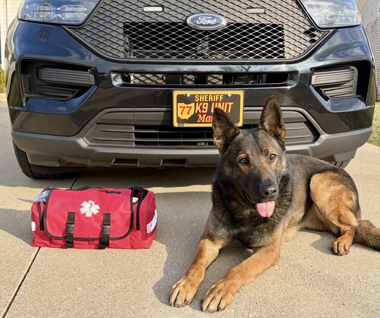 K-9 first aid kits donated to Summit County Sheriff’s Office unit