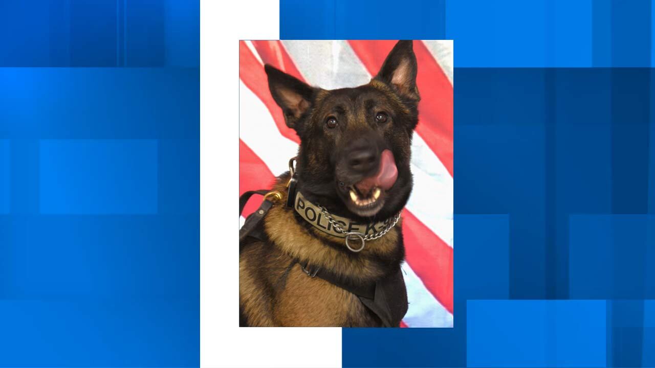 North Charleston police K-9 Joker dies after cancer battle