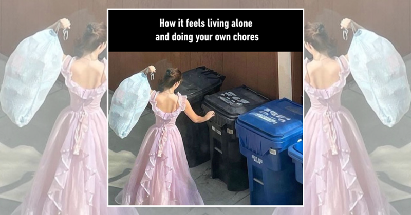 24 adulting memes that capture the freedom and struggle of living alone ...