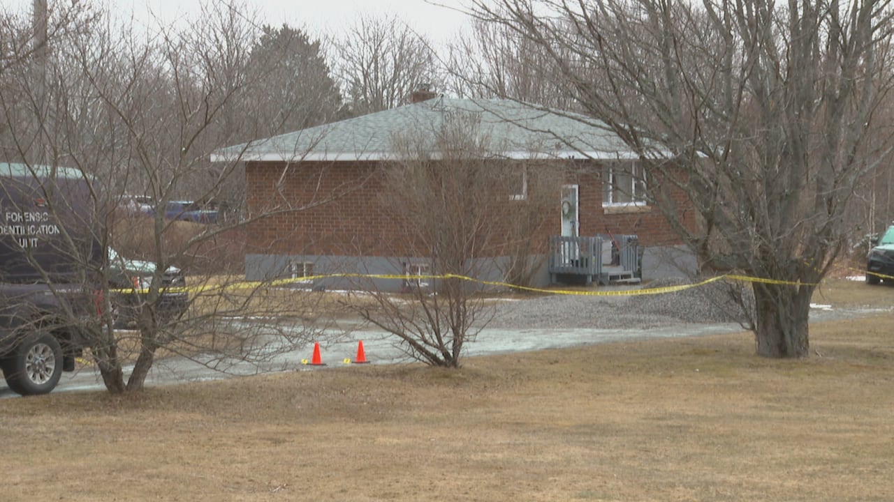 Details emerge about woman charged in Sydney man's death