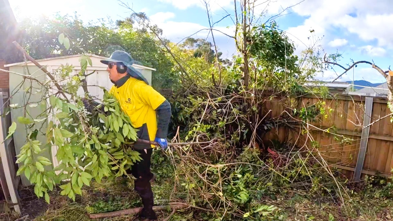 I transformed a 20-year neglected yard 🌿
