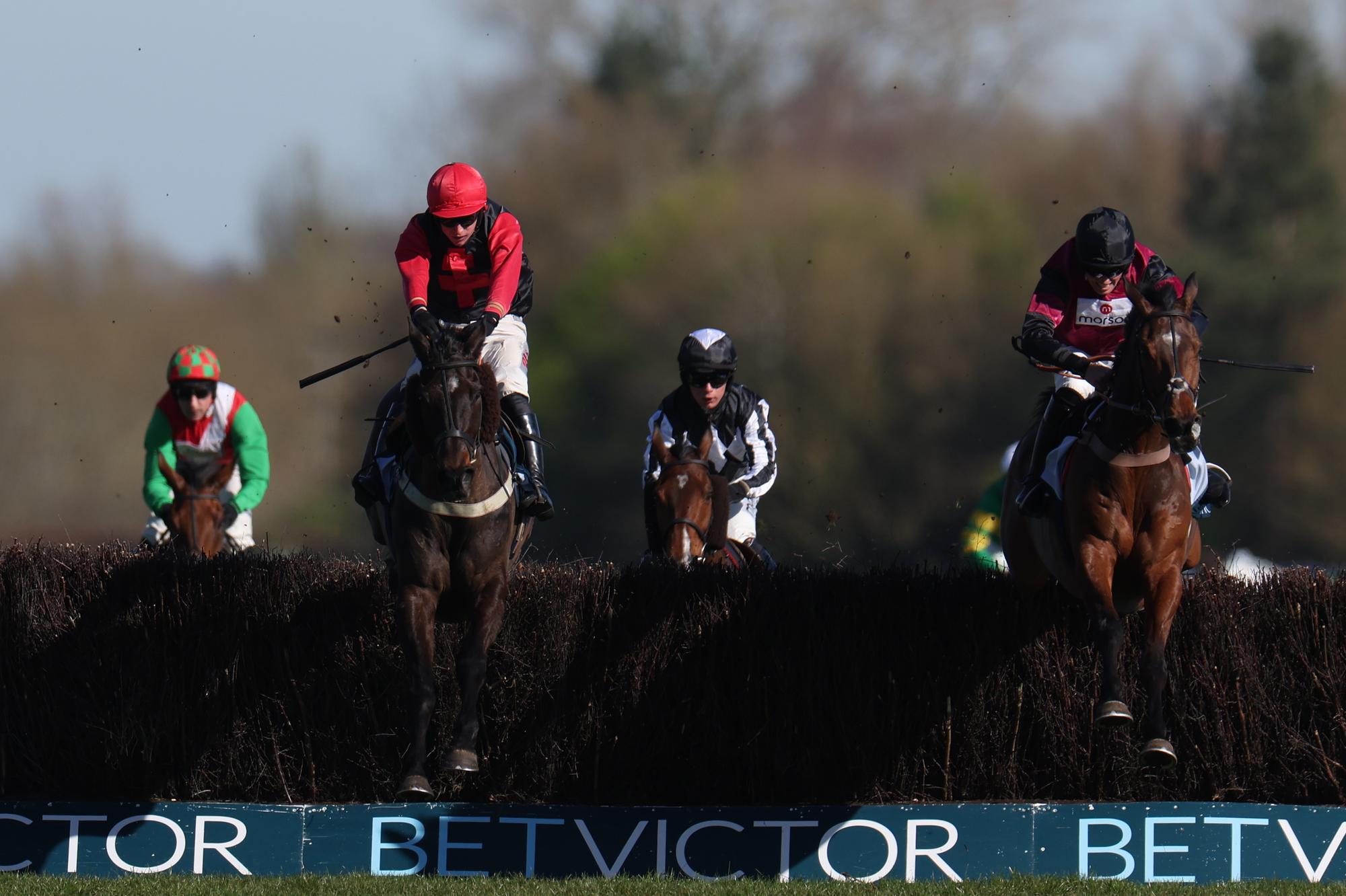 Yorkshire's Prairie Wolf is primed for Randox Topham Handicap over ...