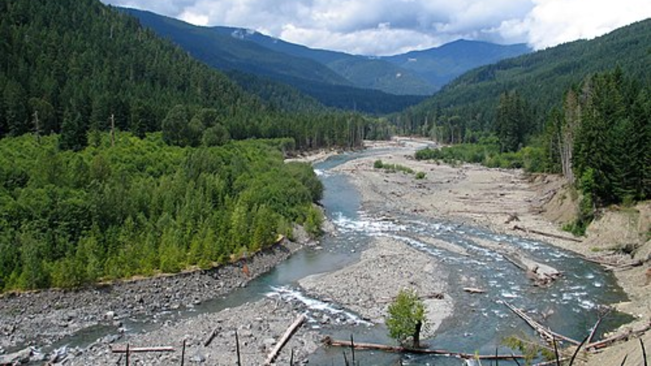 What happens when scientists move an entire river? The answer could ...