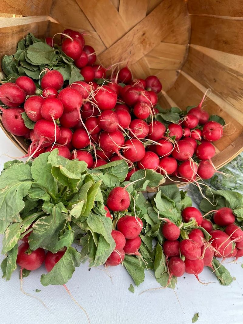 This Oklahoma farmers market turns weekend mornings into a farm-fresh ...
