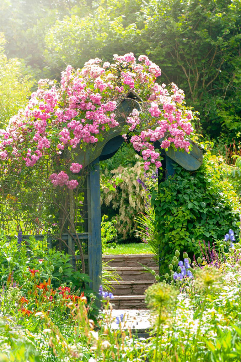 18 charming small garden ideas that are big on personality