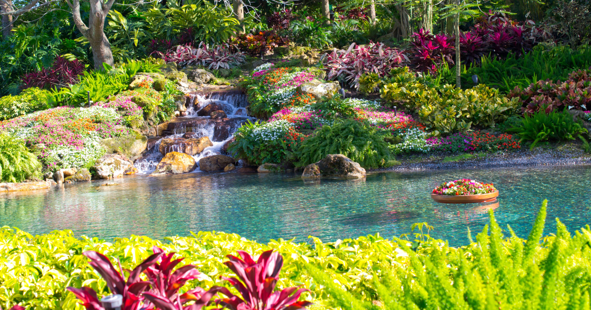 5 scenic nature trails in Florida (perfect for spring walks)