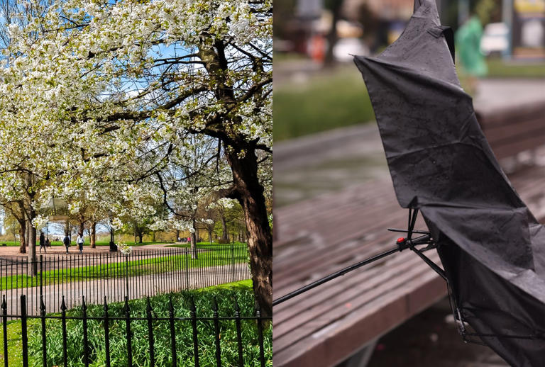 Doncaster weather: Sunny intervals but strong winds forecast this ...