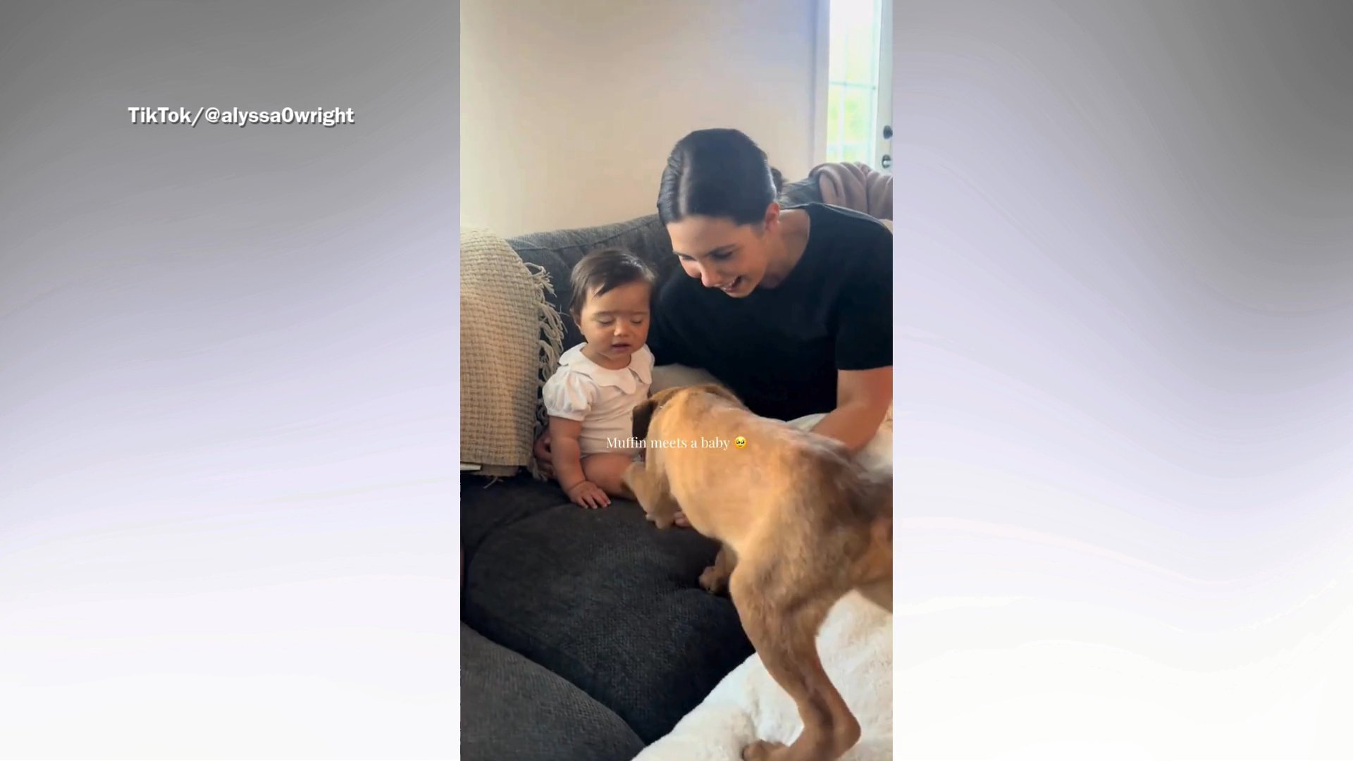 Foster puppy meets baby for first time, it couldn’t have gone any better