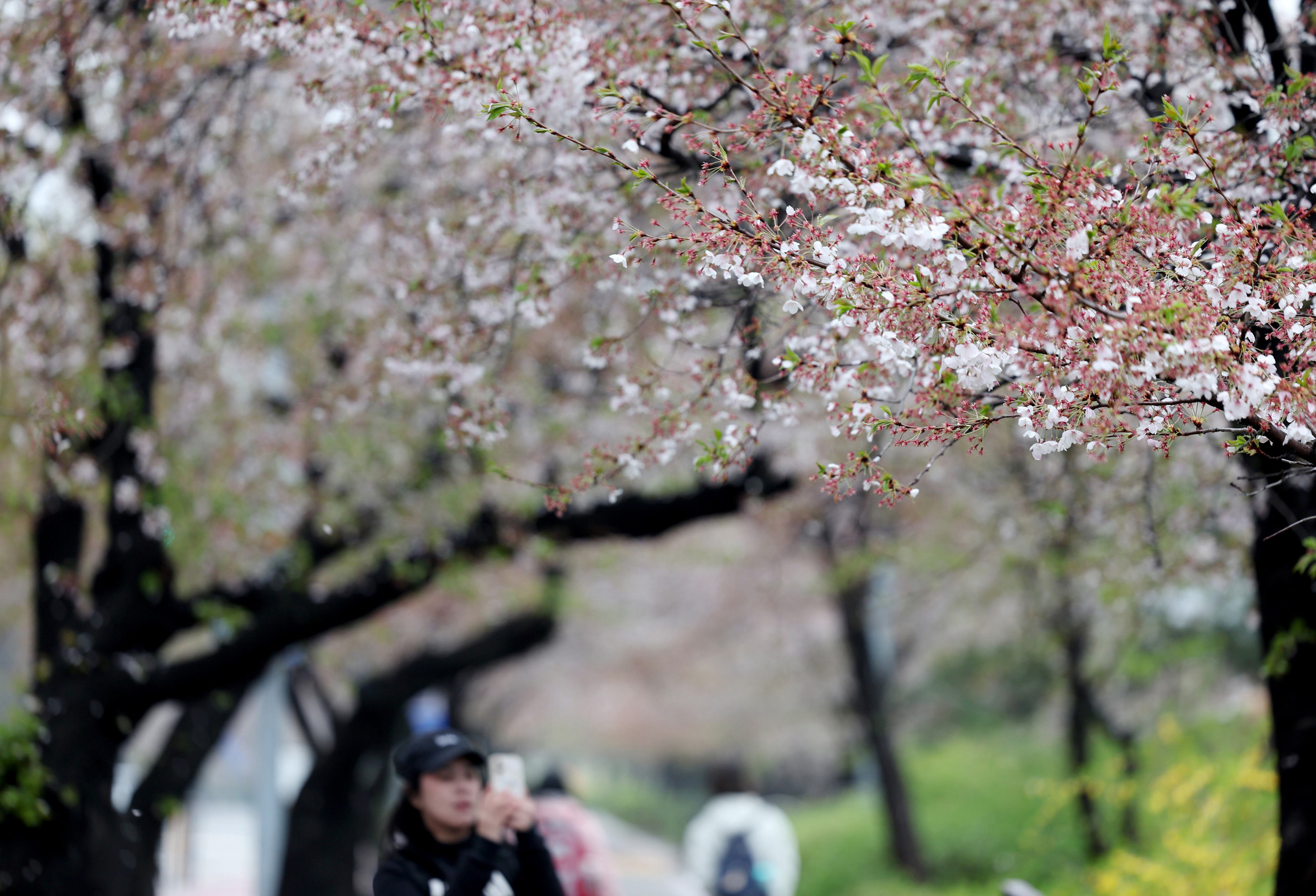 Clear skies, warm weather return for weekend