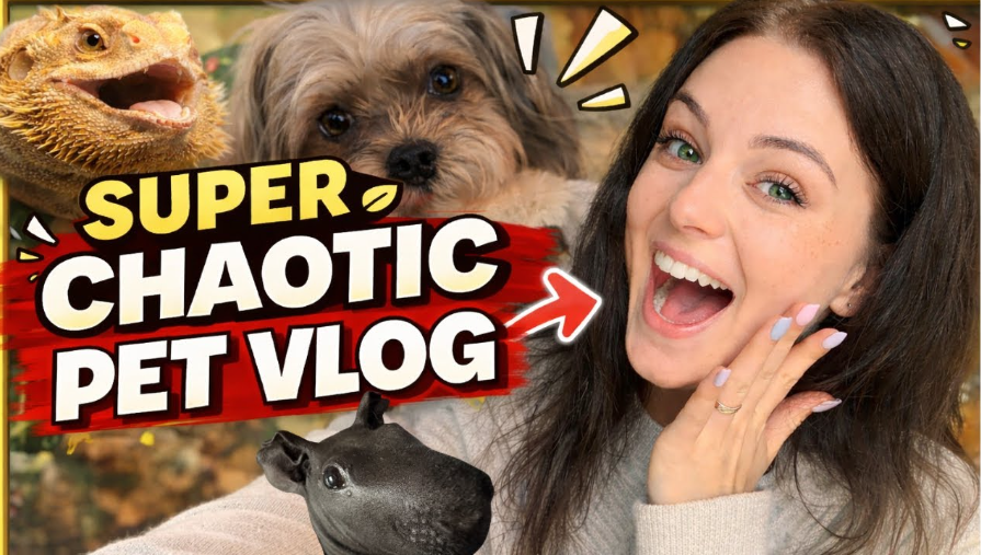 Chaotic pet vlog funny moments and unexpected events