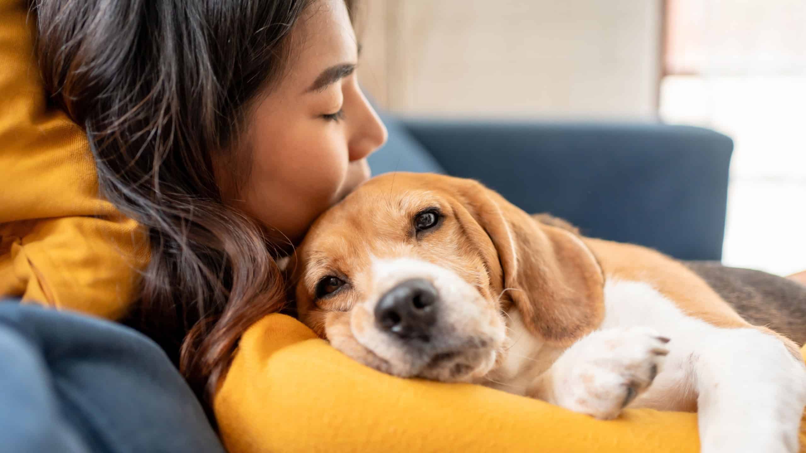 If your dog does one of these nine things, his love for you is truly ...