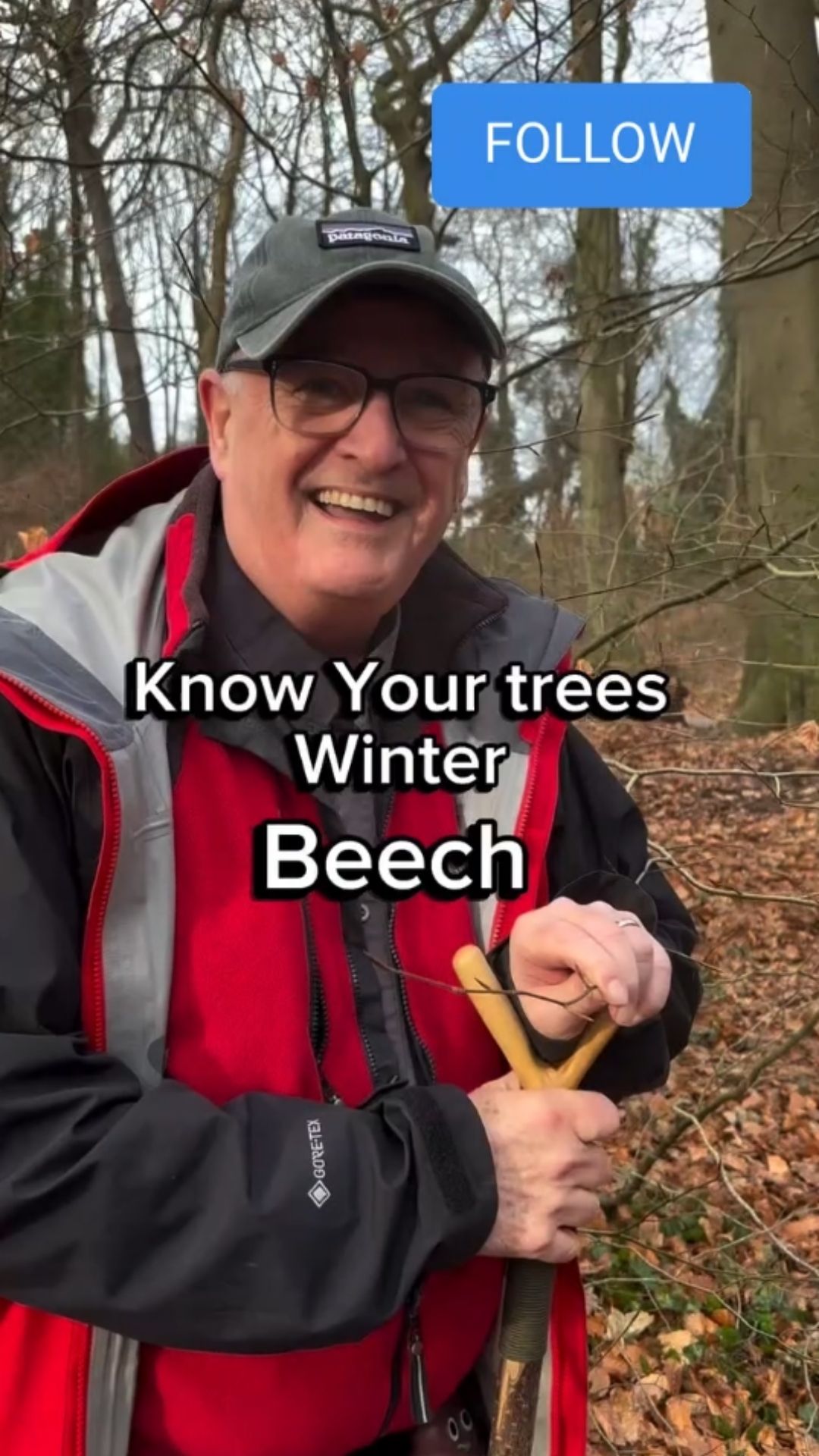 Can you identify trees in winter without leaves?