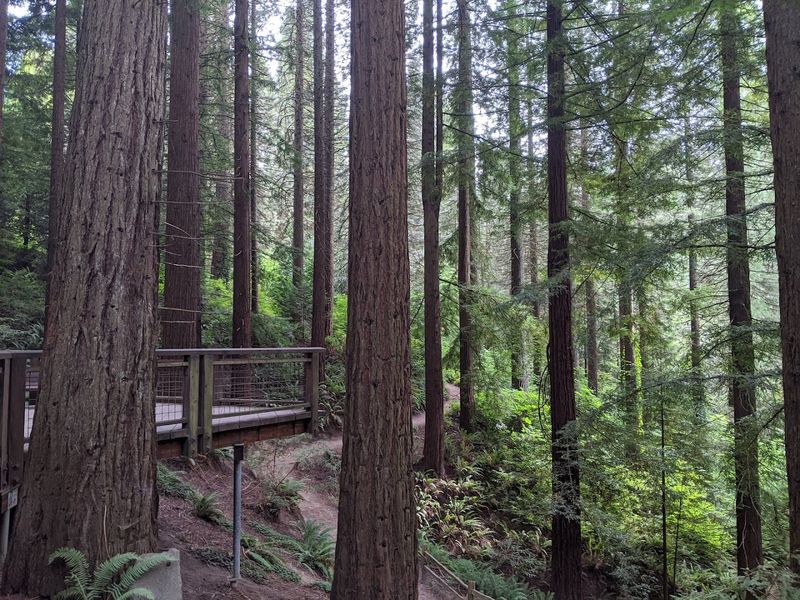 The Oregon 'Narnia Trail' that turns a simple family hike into a ...