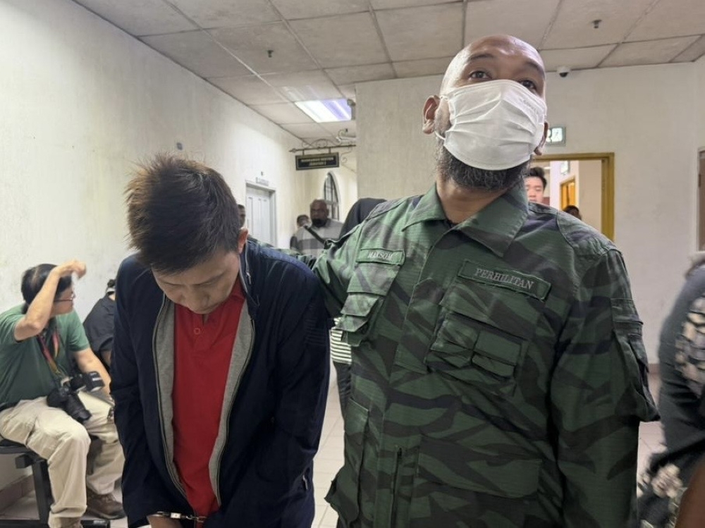 RM36m wildlife bust: Vietnamese man admits to possession of 1,000 ...