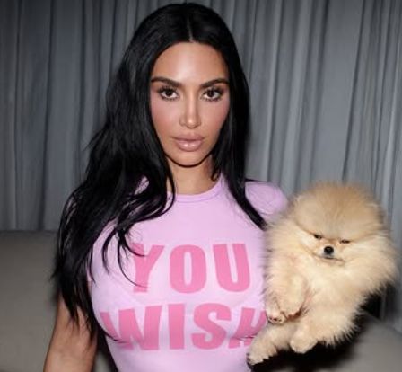 Kim Kardashian gets roasted for wearing a $9,500 gown to casual Easter ...