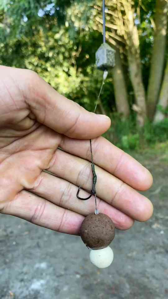 Why this carp rig montage is worth watching