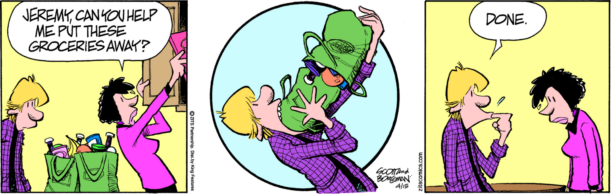 Zits by Jerry Scott and Jim Borgman