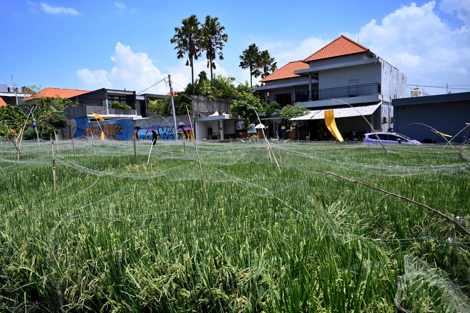 Indonesia’s Bali wants illegal rentals to be legitimate as operators ...