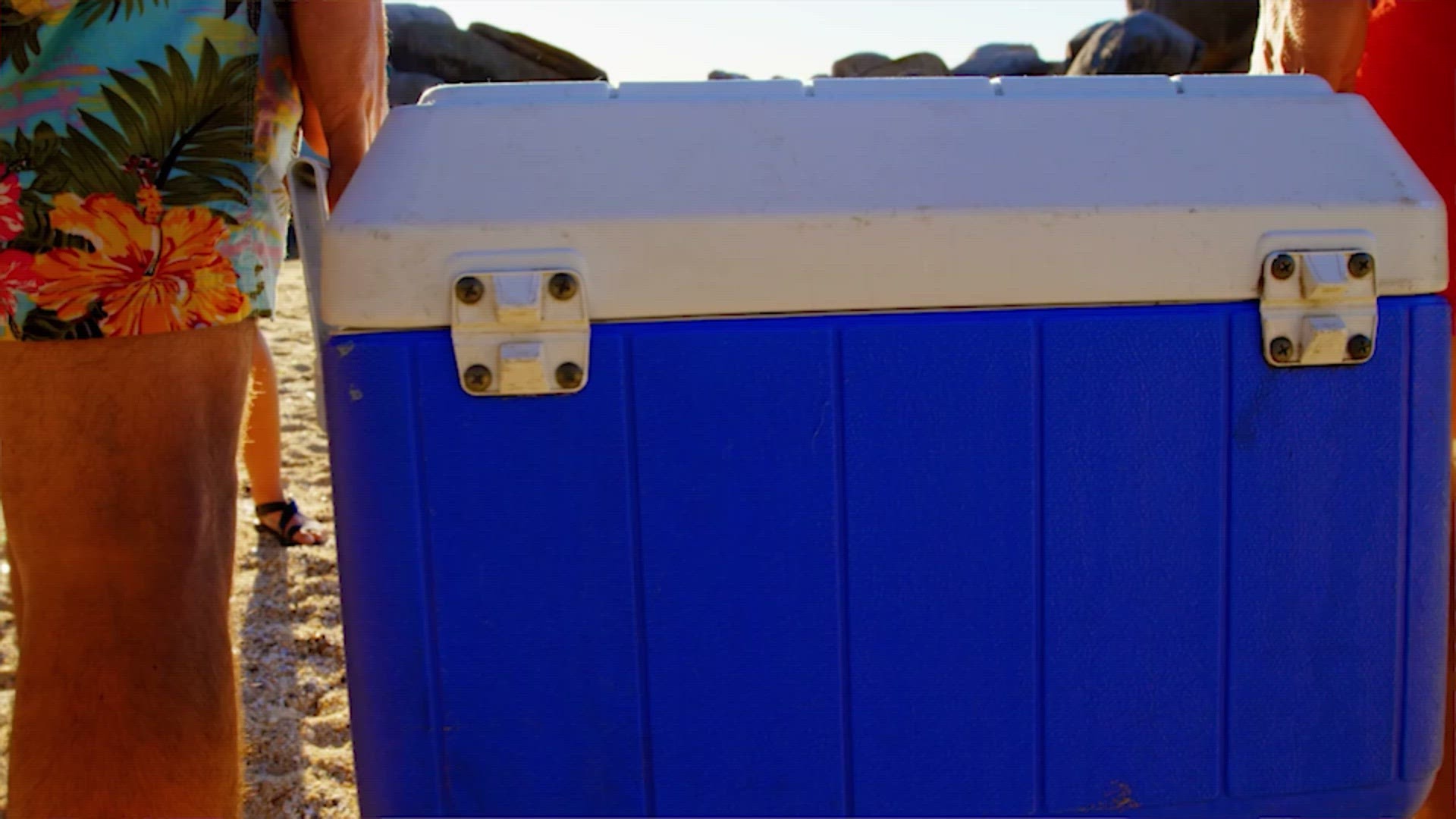 Keep your cooler ice cold: Essential summer packing tips
