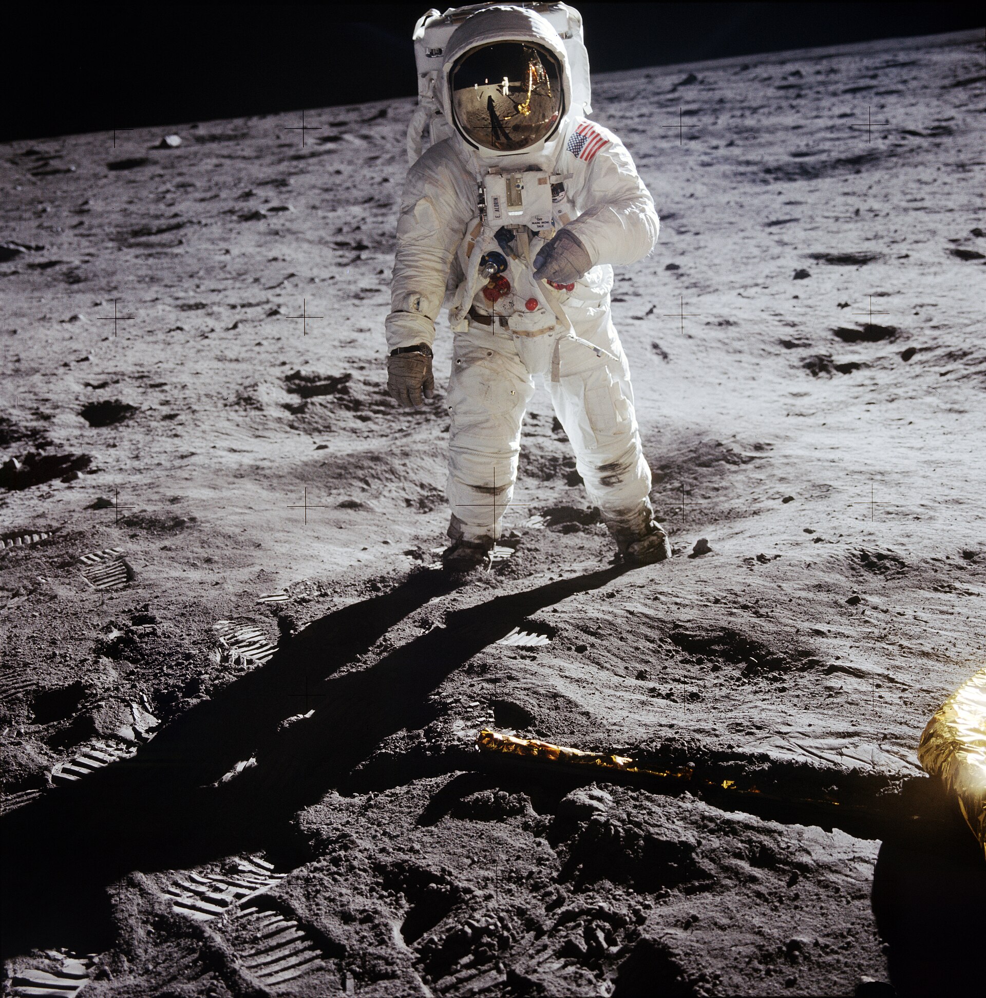 20 random facts that sound fake but are really very real
