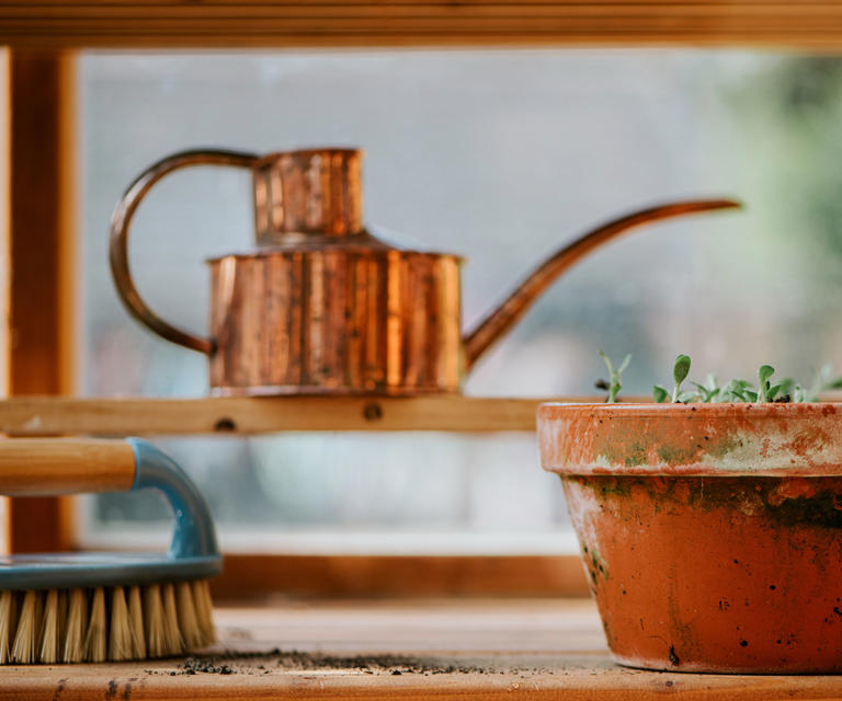 The best time to water your container garden to keep pots thriving and ...