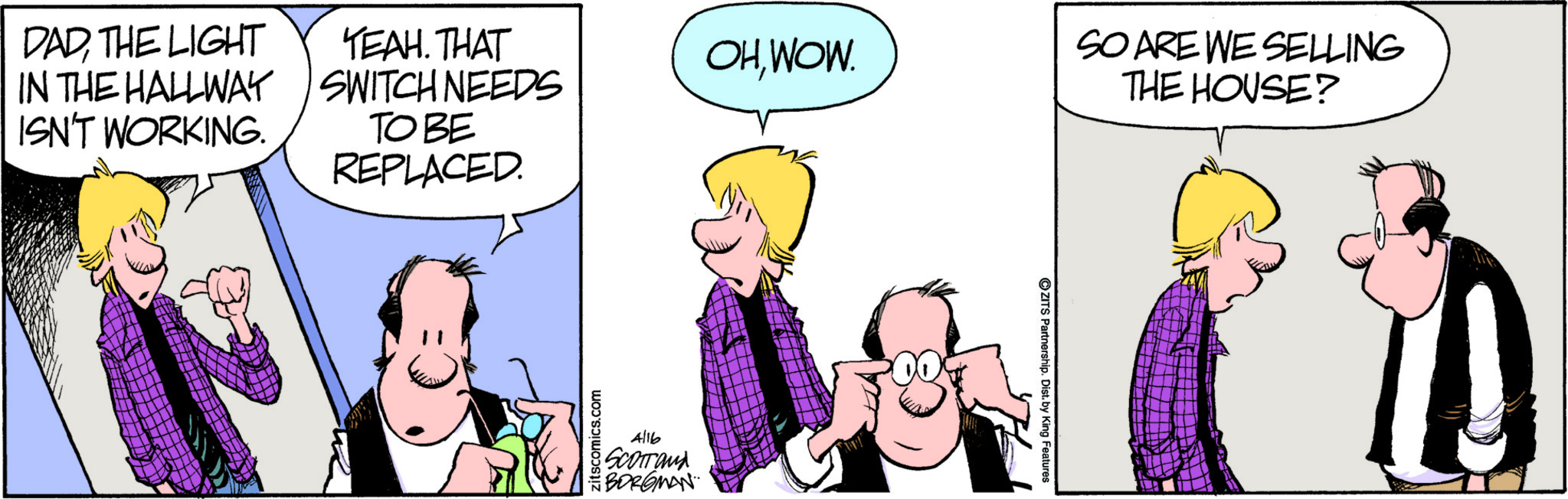 Zits by Jerry Scott and Jim Borgman