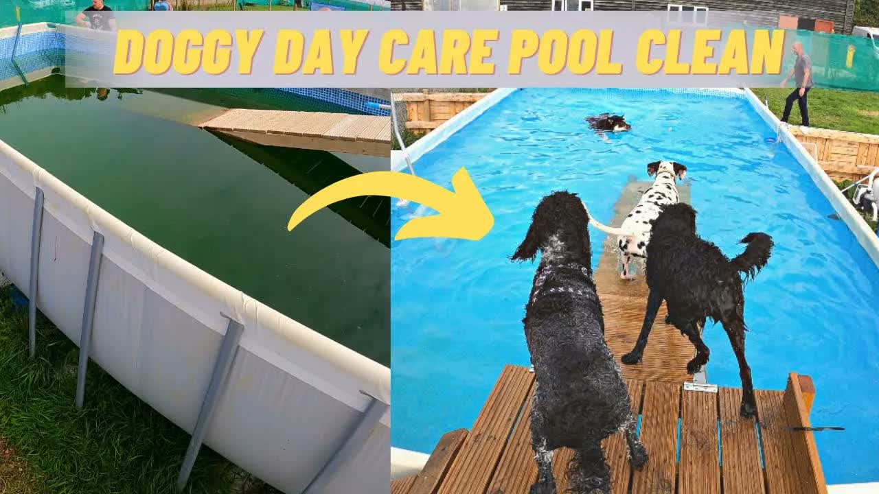 This video shows a dog pool drained and cleaned for heavy use