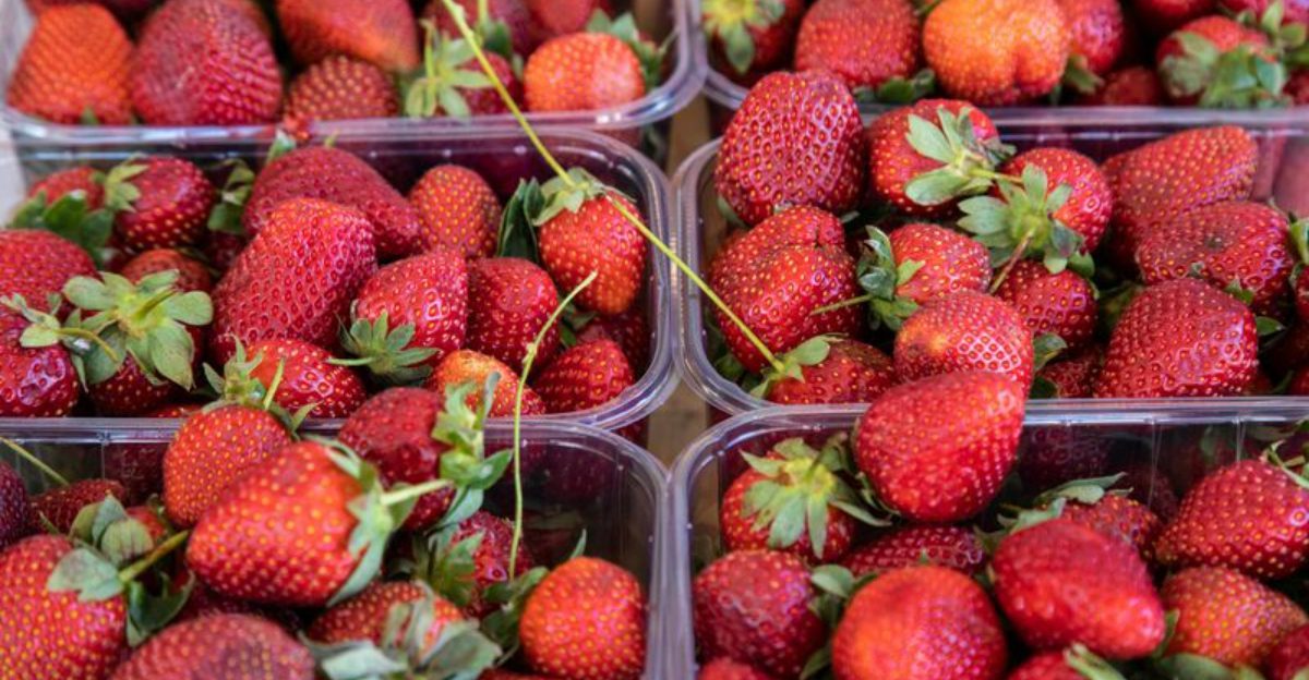 21 everyday foods that used to taste better – according to many people